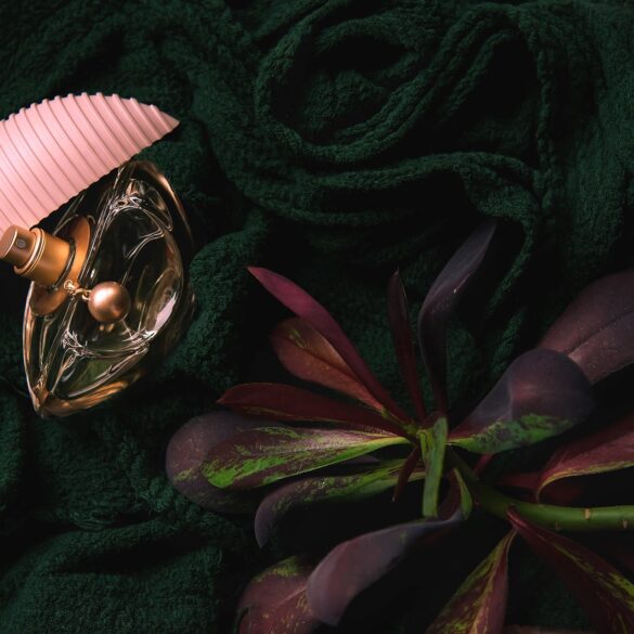 How to Log In to Macy's Insite: A Complete Employee Guide