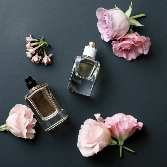 How to Log In to Macy's Insite: A Complete Employee Guide